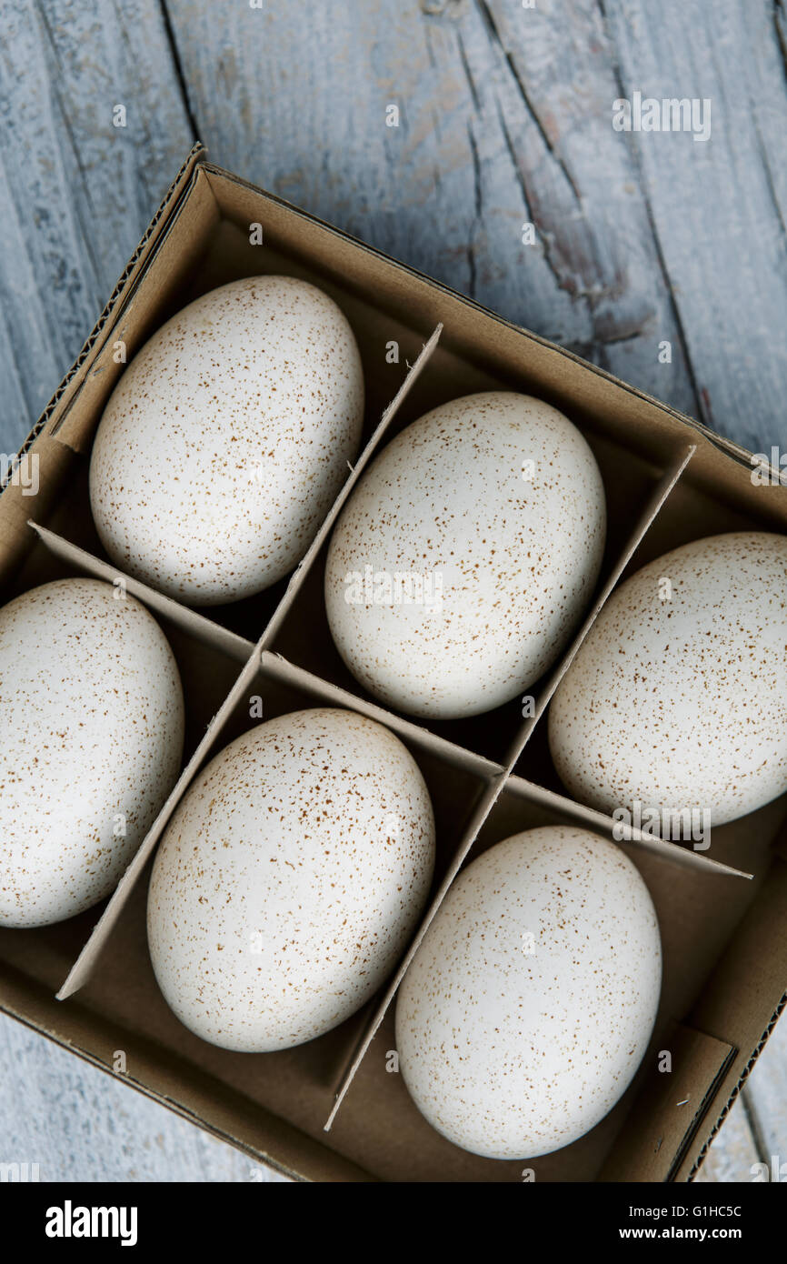 Six Duck Eggs in square cardboard box Stock Photo - Alamy