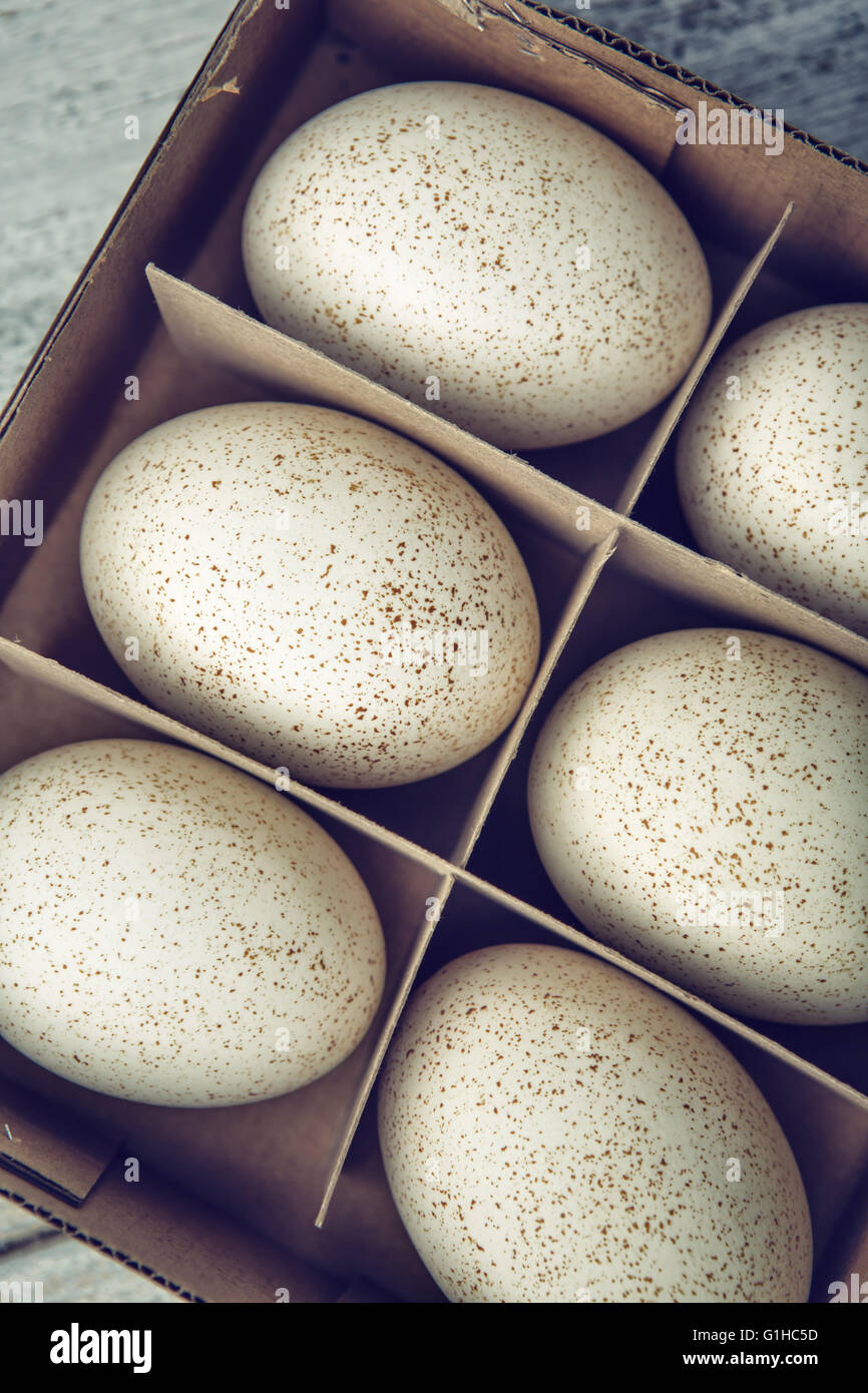 Six Duck Eggs in square cardboard box Stock Photo - Alamy
