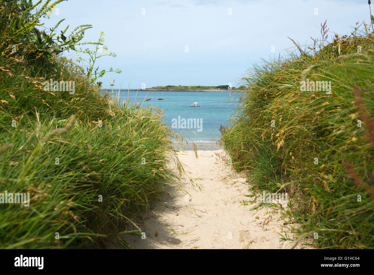A rural nature sandy path leads to secluded beach and clear blue sea on ...