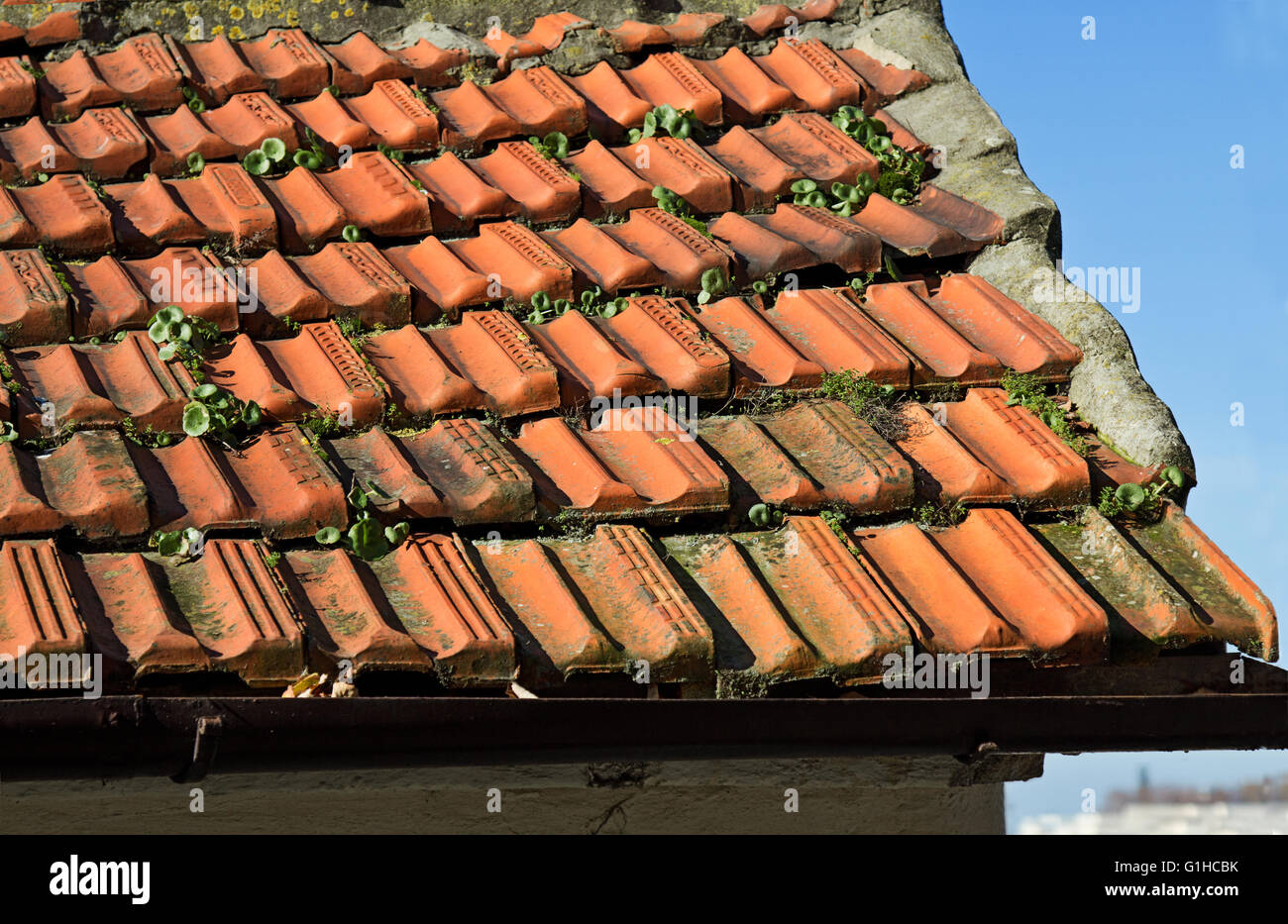 Apex tiles hi-res stock photography and images - Alamy