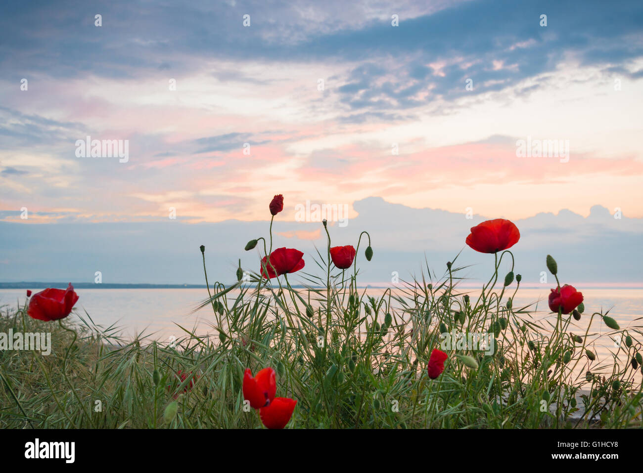 Beauty on the sea hi-res stock photography and images - Alamy