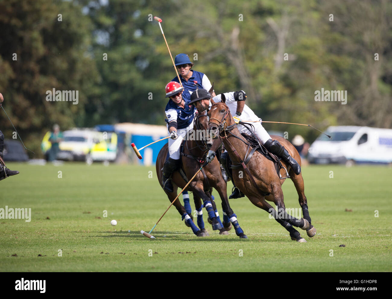 Polo Beaufort High Resolution Stock Photography and Images - Alamy