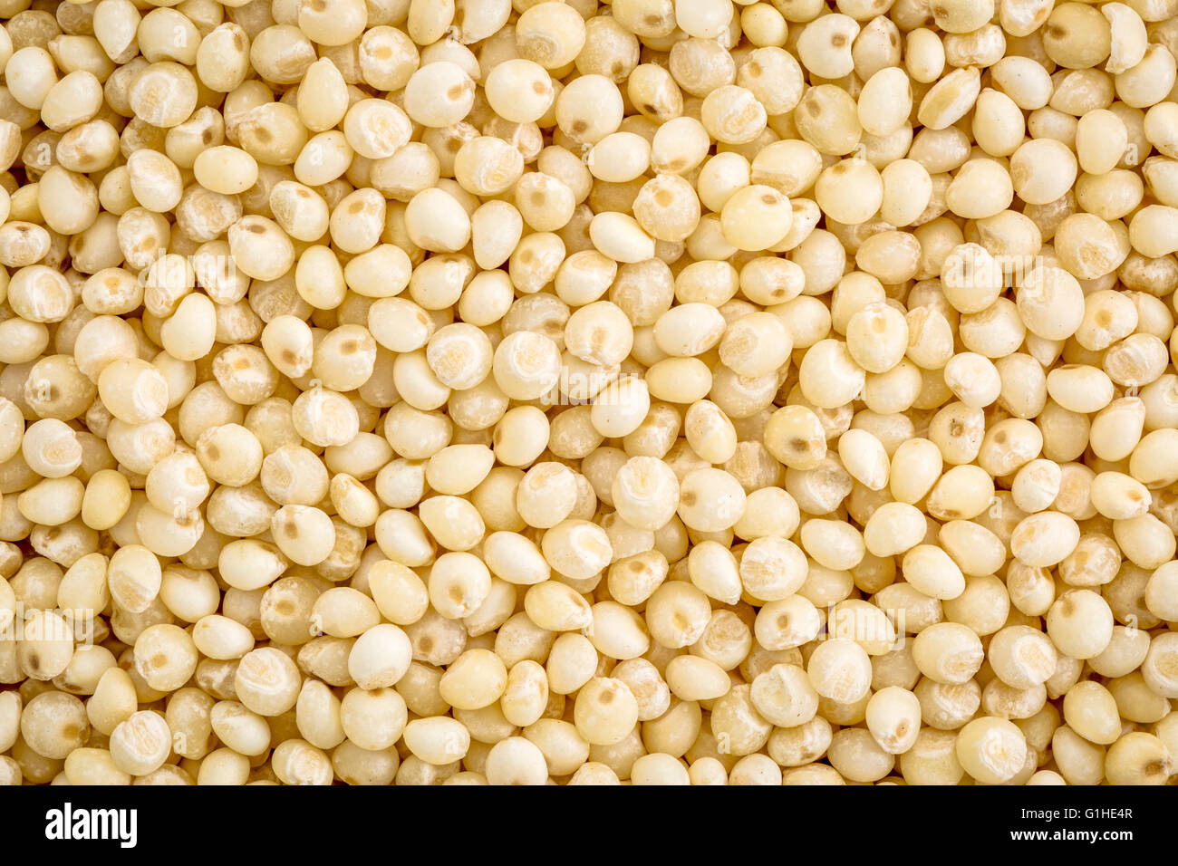 gluten free millet grain background, life size macro Stock Photo - Alamy