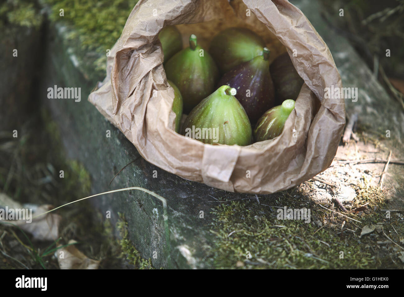 Fig farm hi-res stock photography and images - Alamy