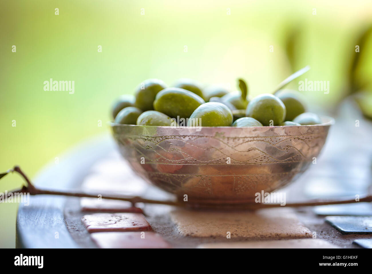 Still Life with Fresh green Olives harvested from Tree on Italian Farm ...