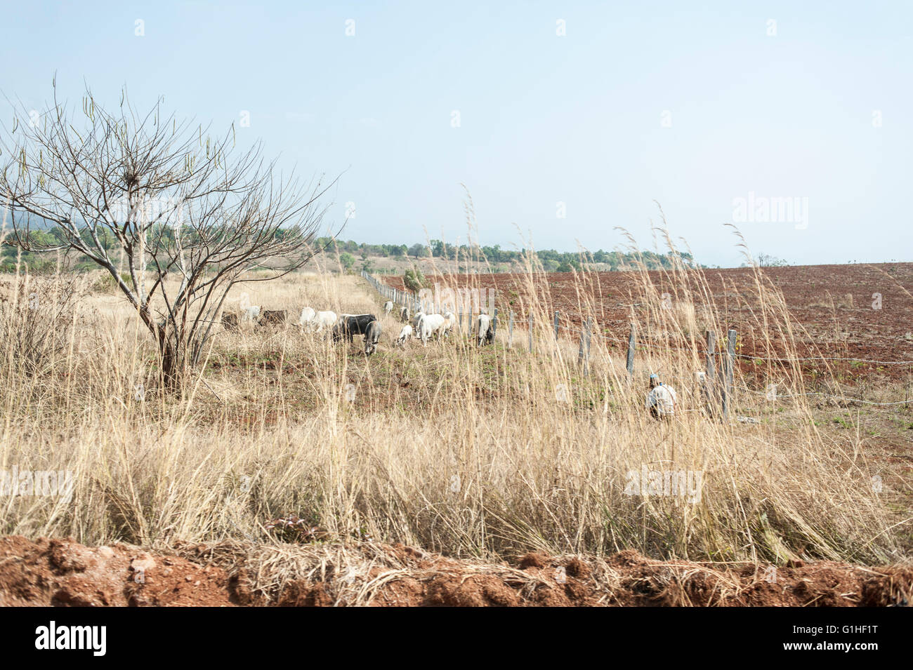 Shan hills hi-res stock photography and images - Alamy