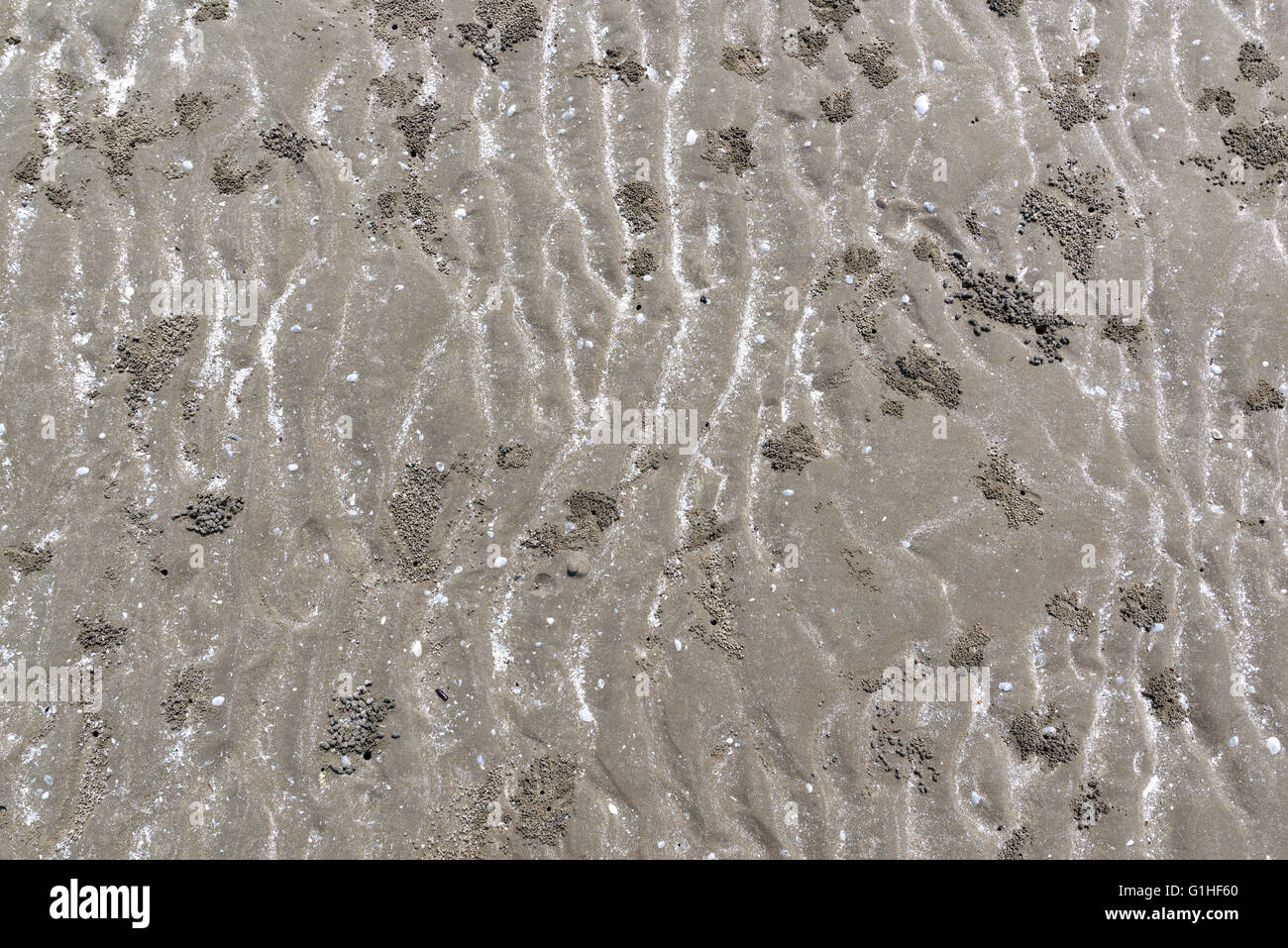 Dirty sand beach hi-res stock photography and images - Alamy