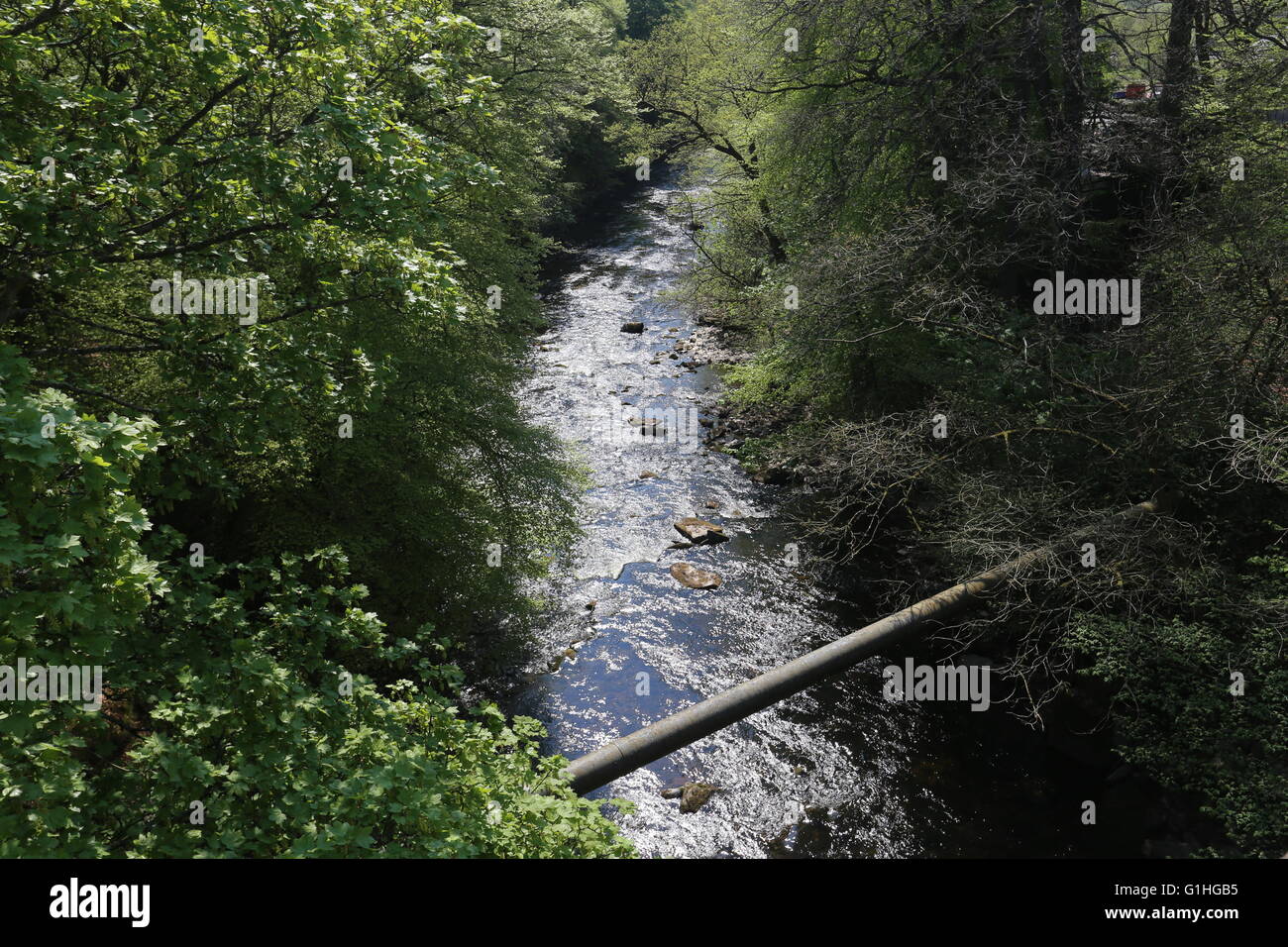 Elevated view of Allan Water Dunblane Scotland May 2016 Stock Photo - Alamy