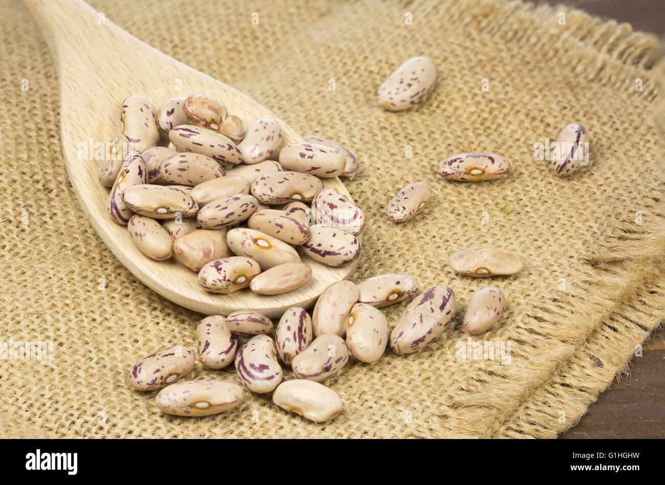 The Saluggia beans”take his name from the village in Piemonte, Italy ...