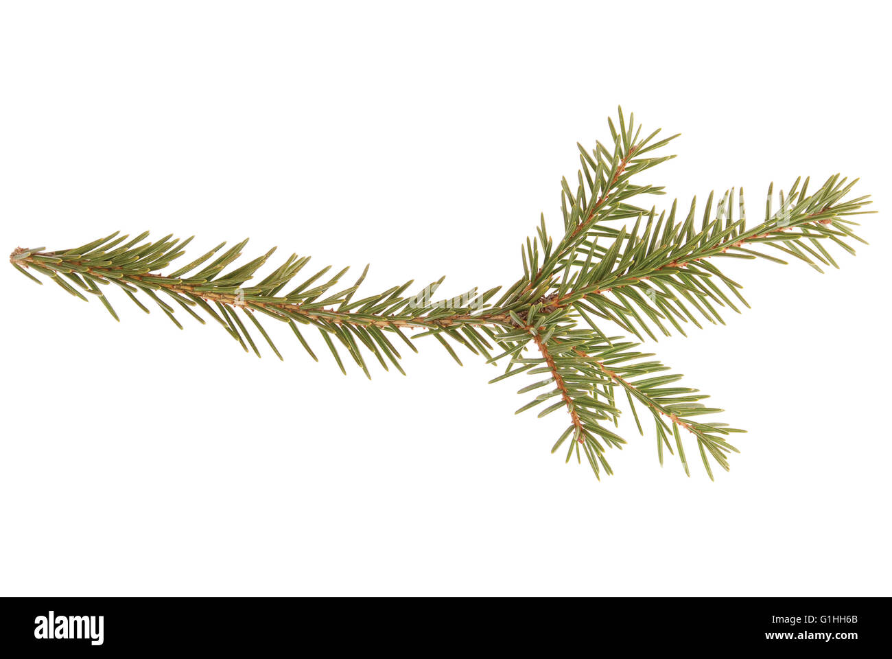 New year light background mood Cut Out Stock Images & Pictures - Alamy