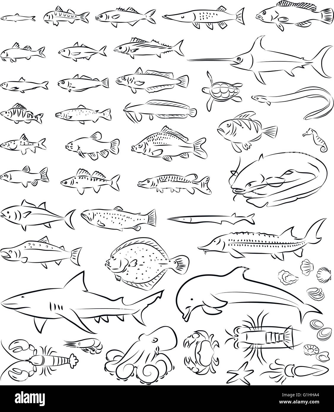 vector illustration of sea fishes and creatures collection in line art ...