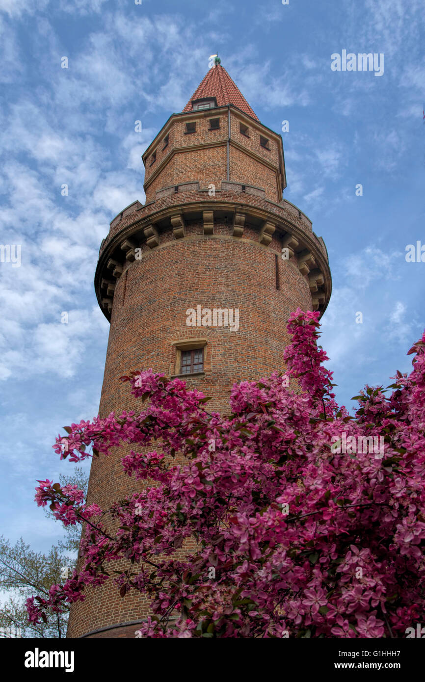 Legnica, the Piast Castle Stock Photo - Alamy