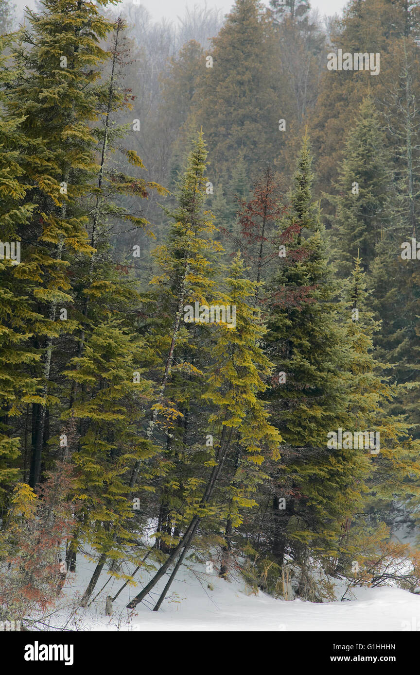 Elliot lake canada hi-res stock photography and images - Alamy