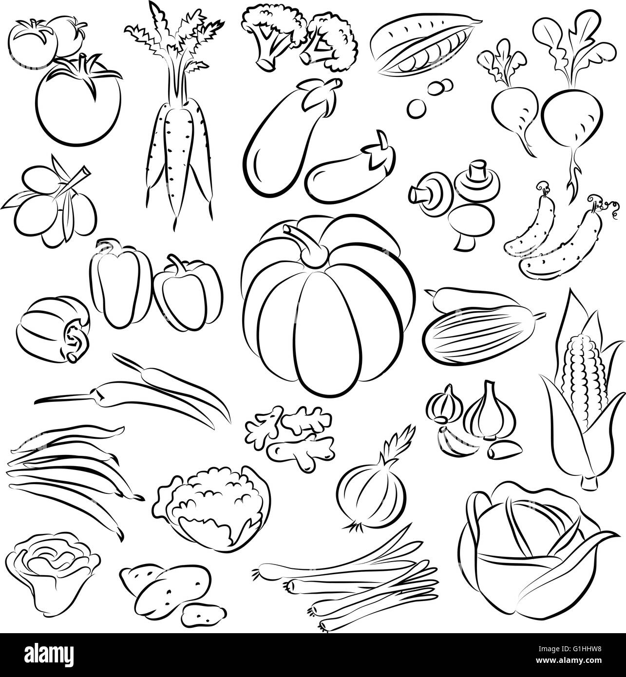 vector illustration of vegetables collection in line art mode Stock ...