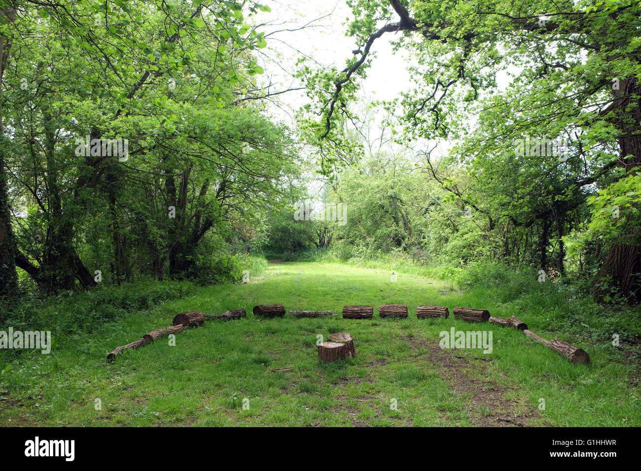 Log circle hi-res stock photography and images - Alamy