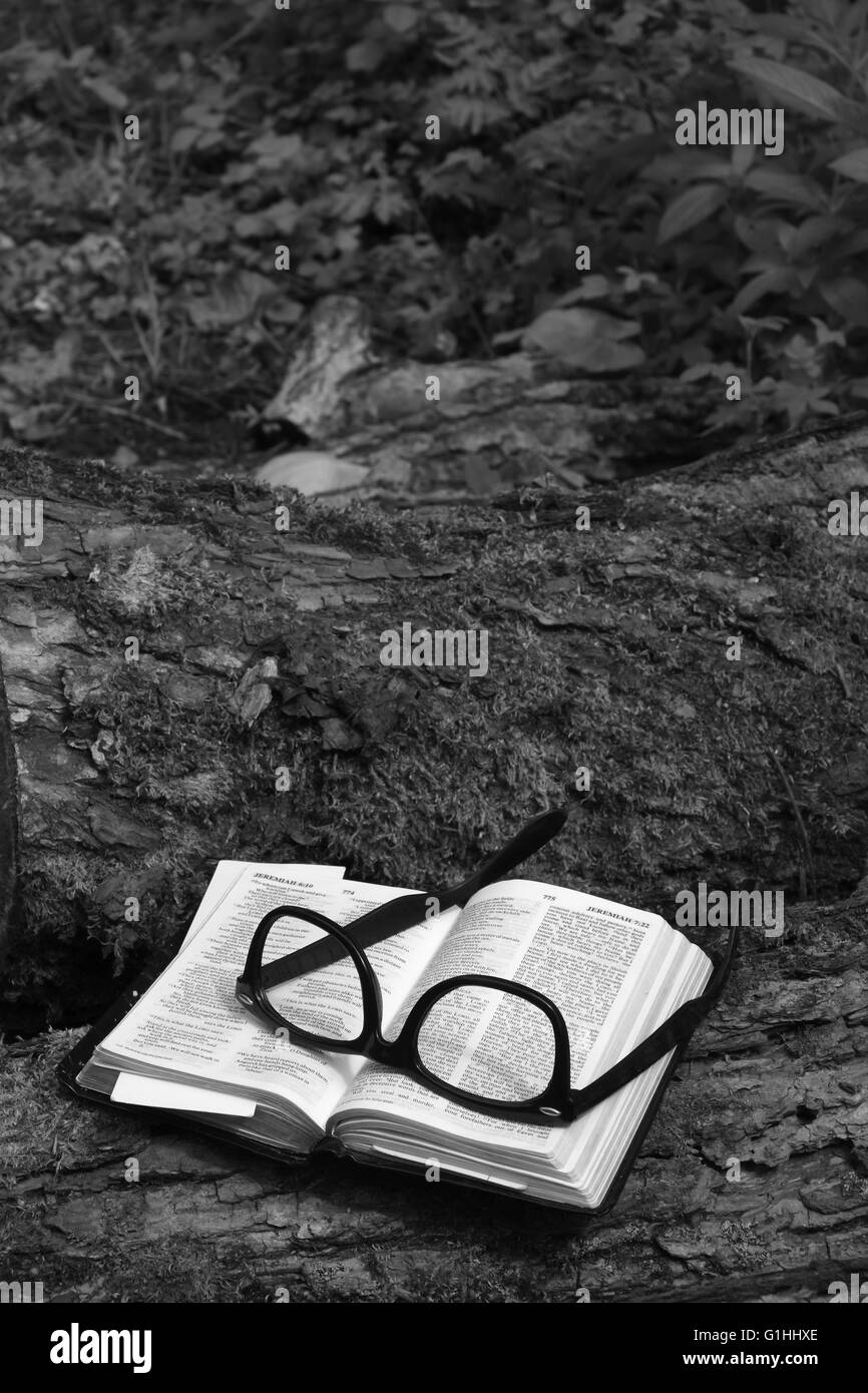 open bible resting place of peace and calm in the forest. May 2016 ...