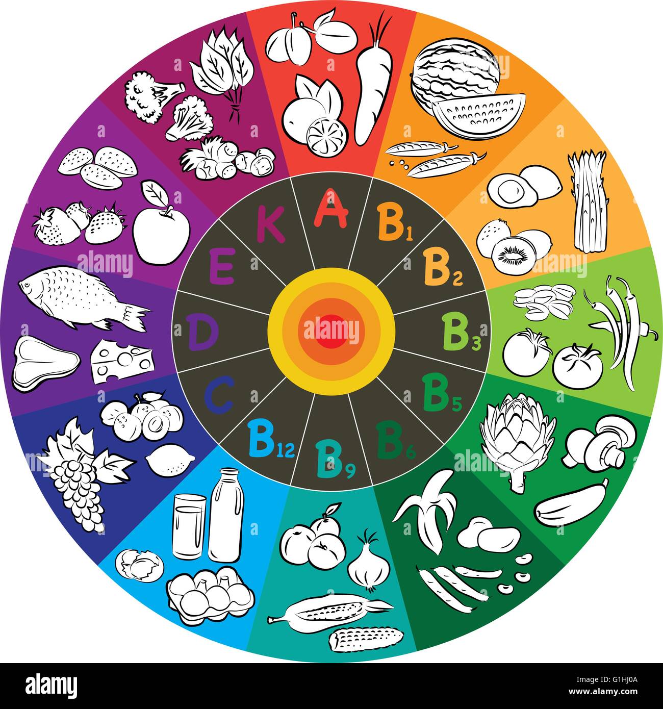 vector illustration of vitamin groups in colored wheel Stock Vector ...