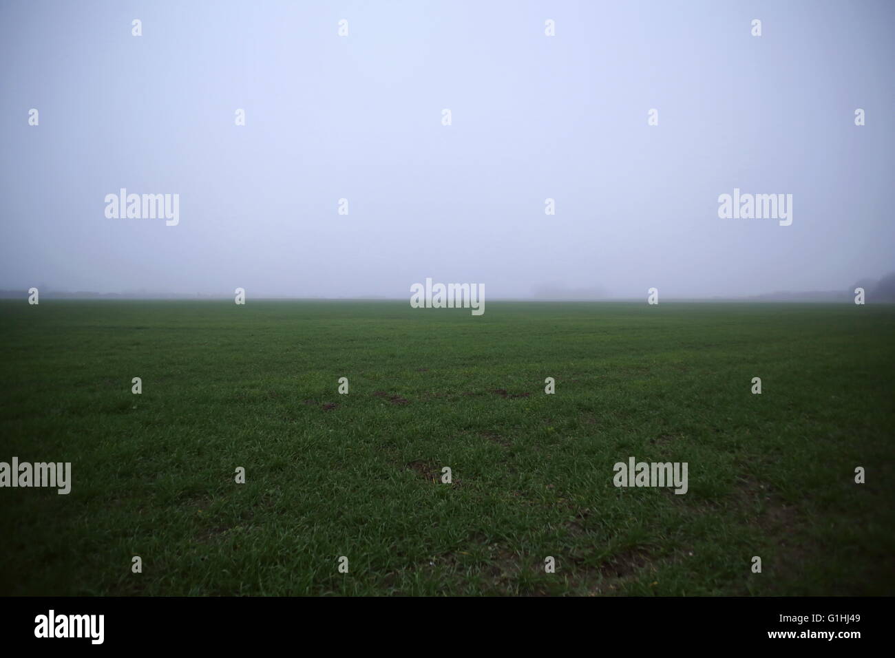 Flat grass field with fog Stock Photo - Alamy