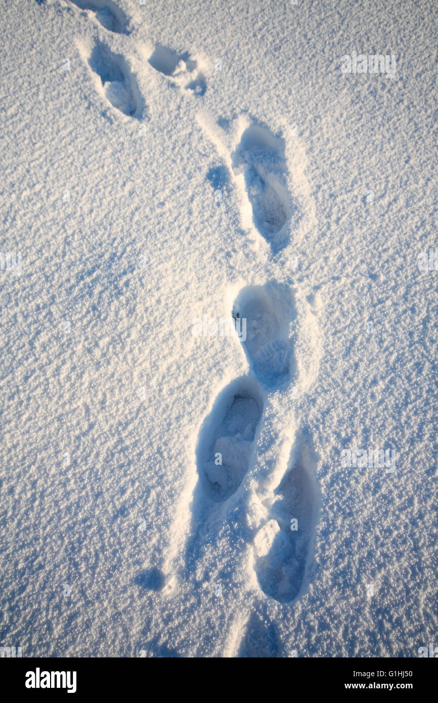 Human track hi-res stock photography and images - Alamy