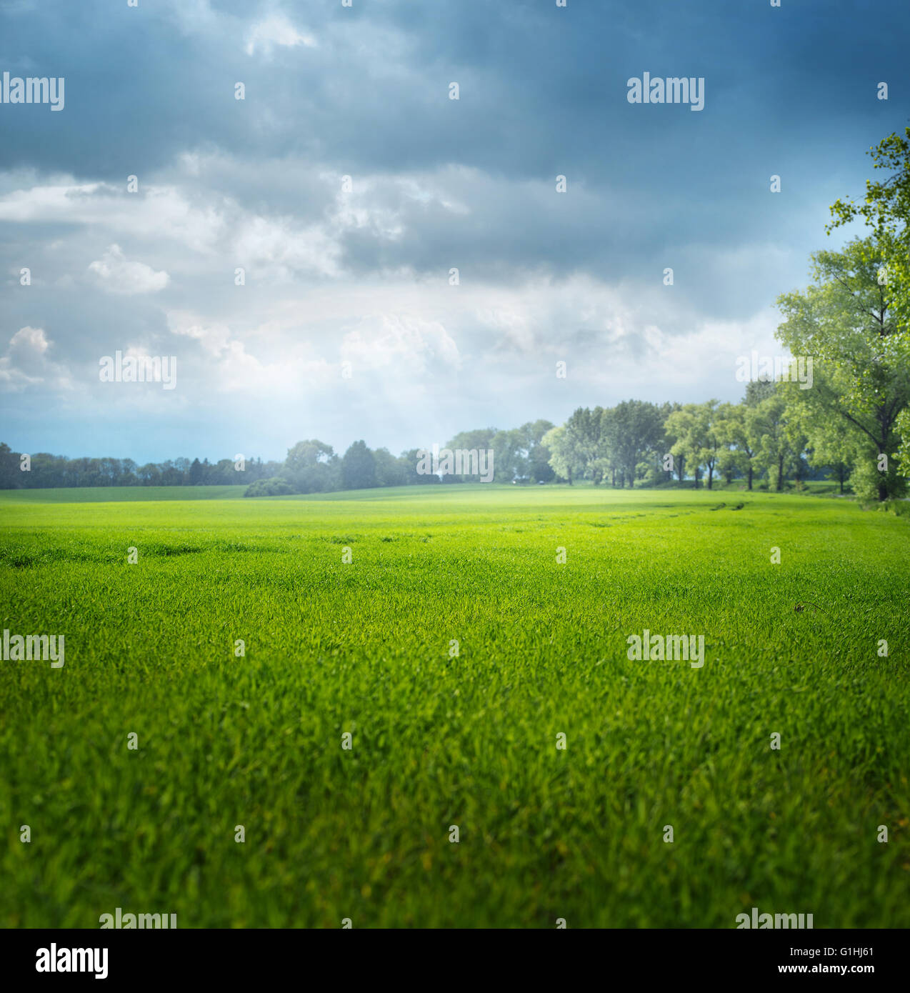 Beautiful spring landscape of the rural area Stock Photo - Alamy