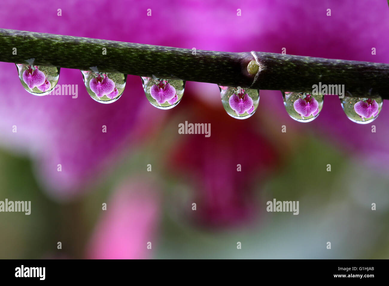 Reflect water drop hi-res stock photography and images - Alamy