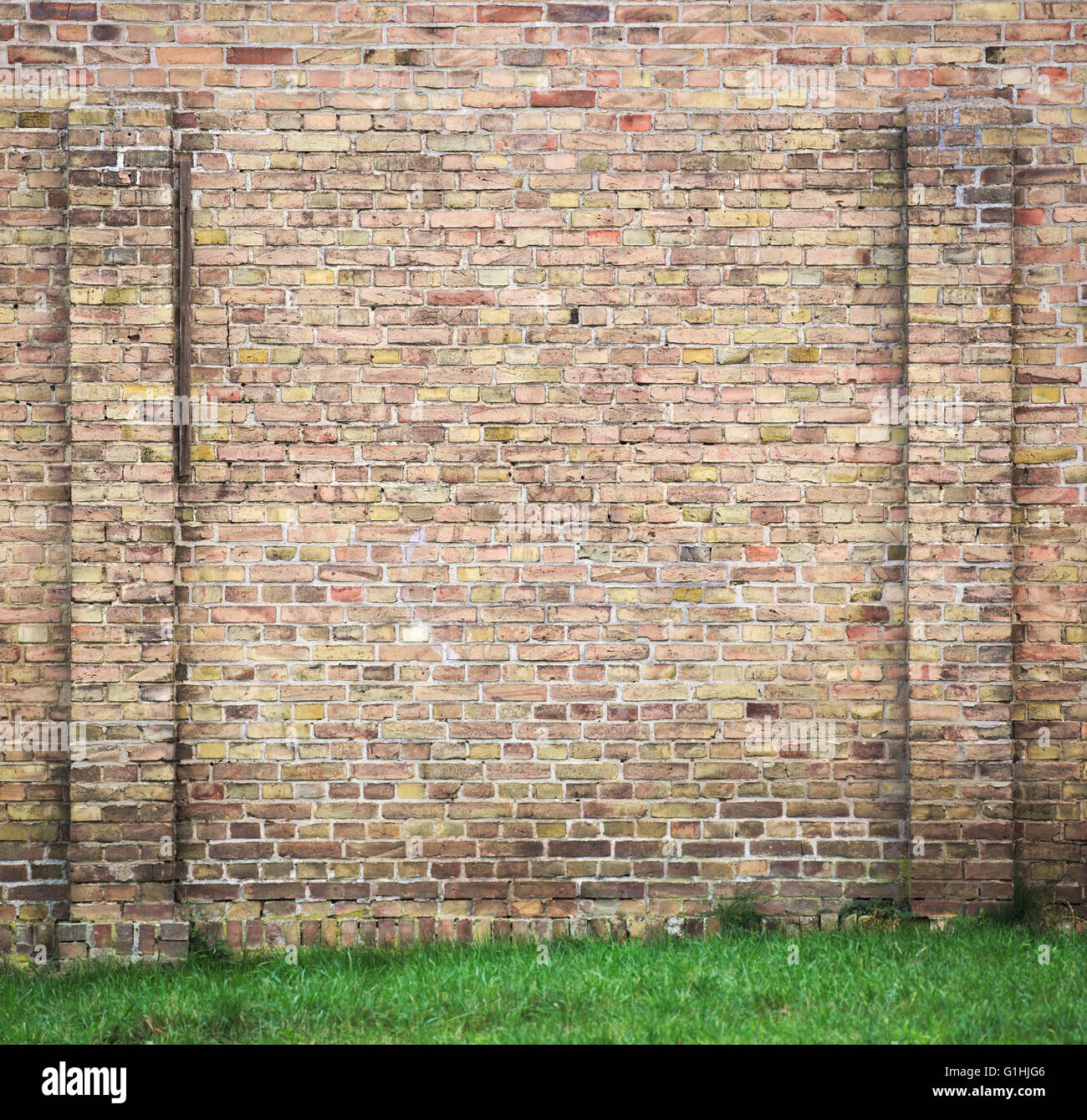 Wall background with yellow bricks and grass on the ground Stock Photo ...