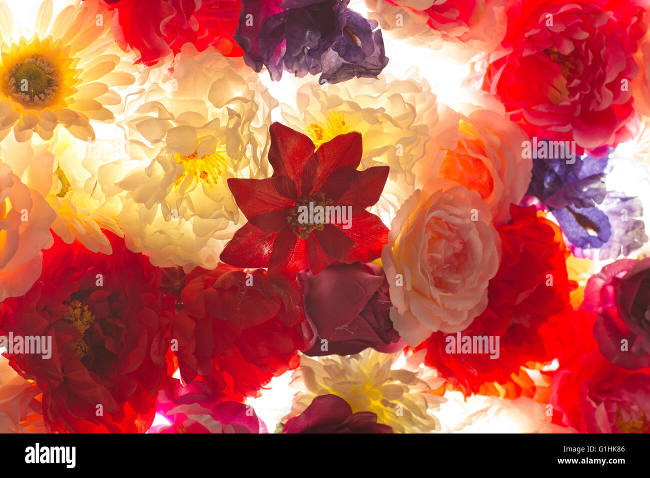 Nice shot hi-res stock photography and images - Alamy