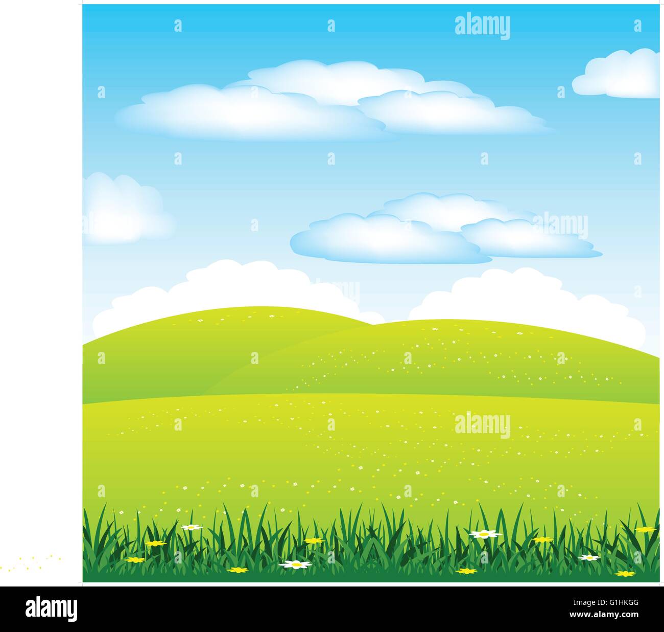 Vector illustration meadow with flower by summer Stock Vector Image ...
