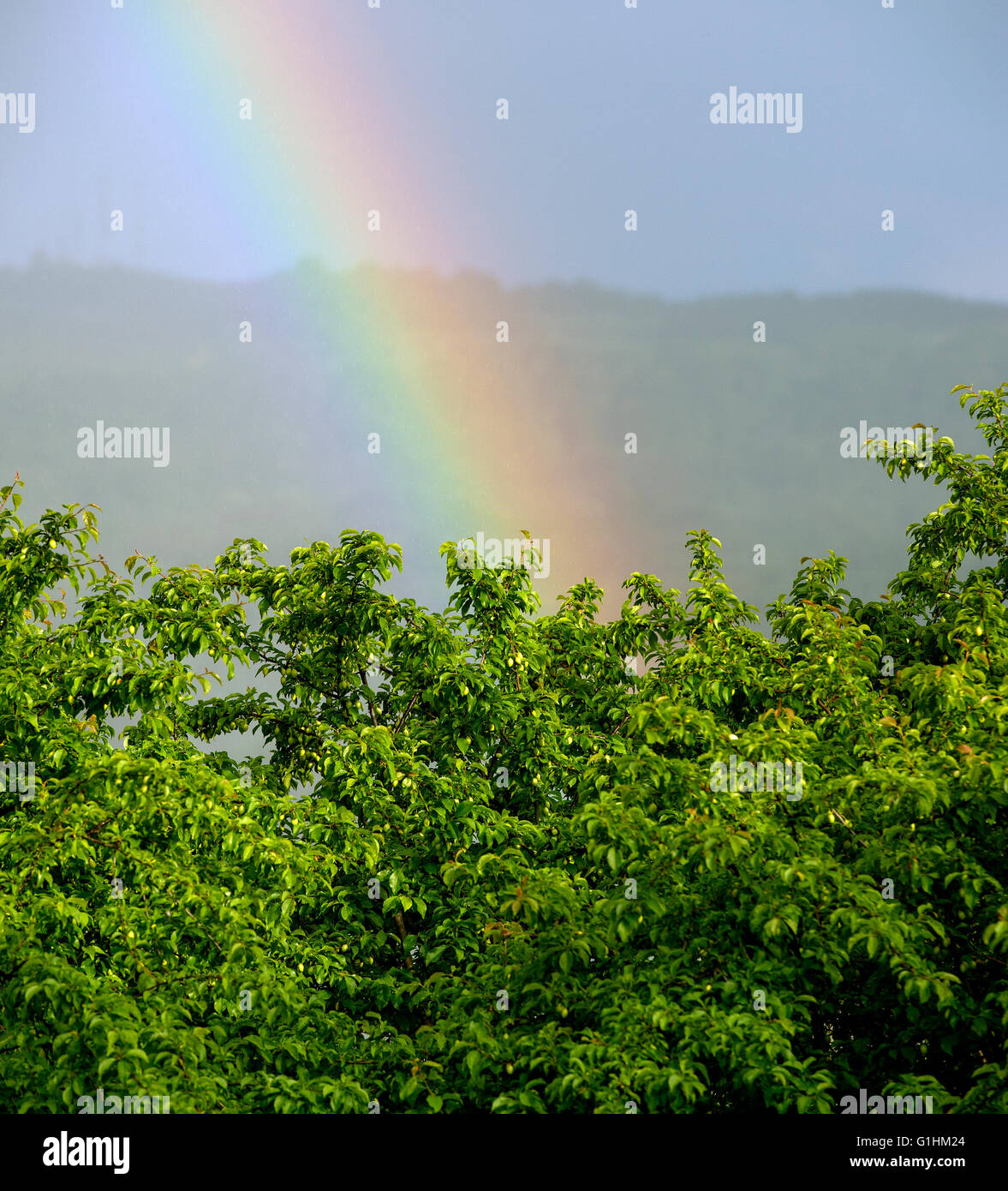 Rainbow spring bright sky hi-res stock photography and images - Alamy