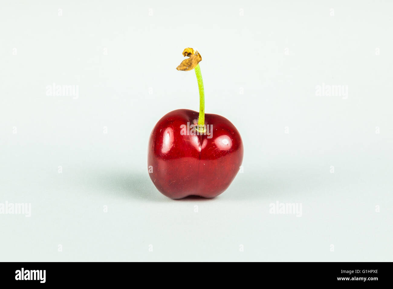 A cherry on a white table without its leaf Stock Photo - Alamy