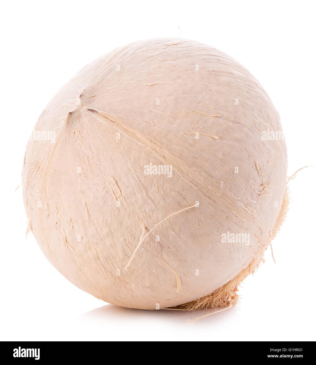 Young sweet coconut close-up isolated on white background Stock Photo ...