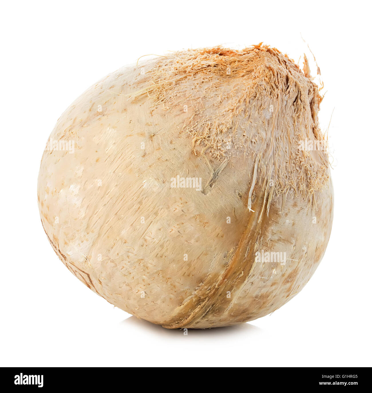 Young sweet coconut close-up isolated on white background Stock Photo ...