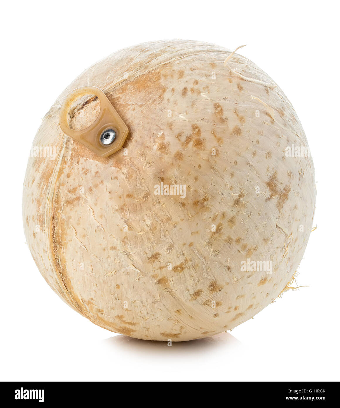 Young sweet coconut close-up isolated on white background Stock Photo ...