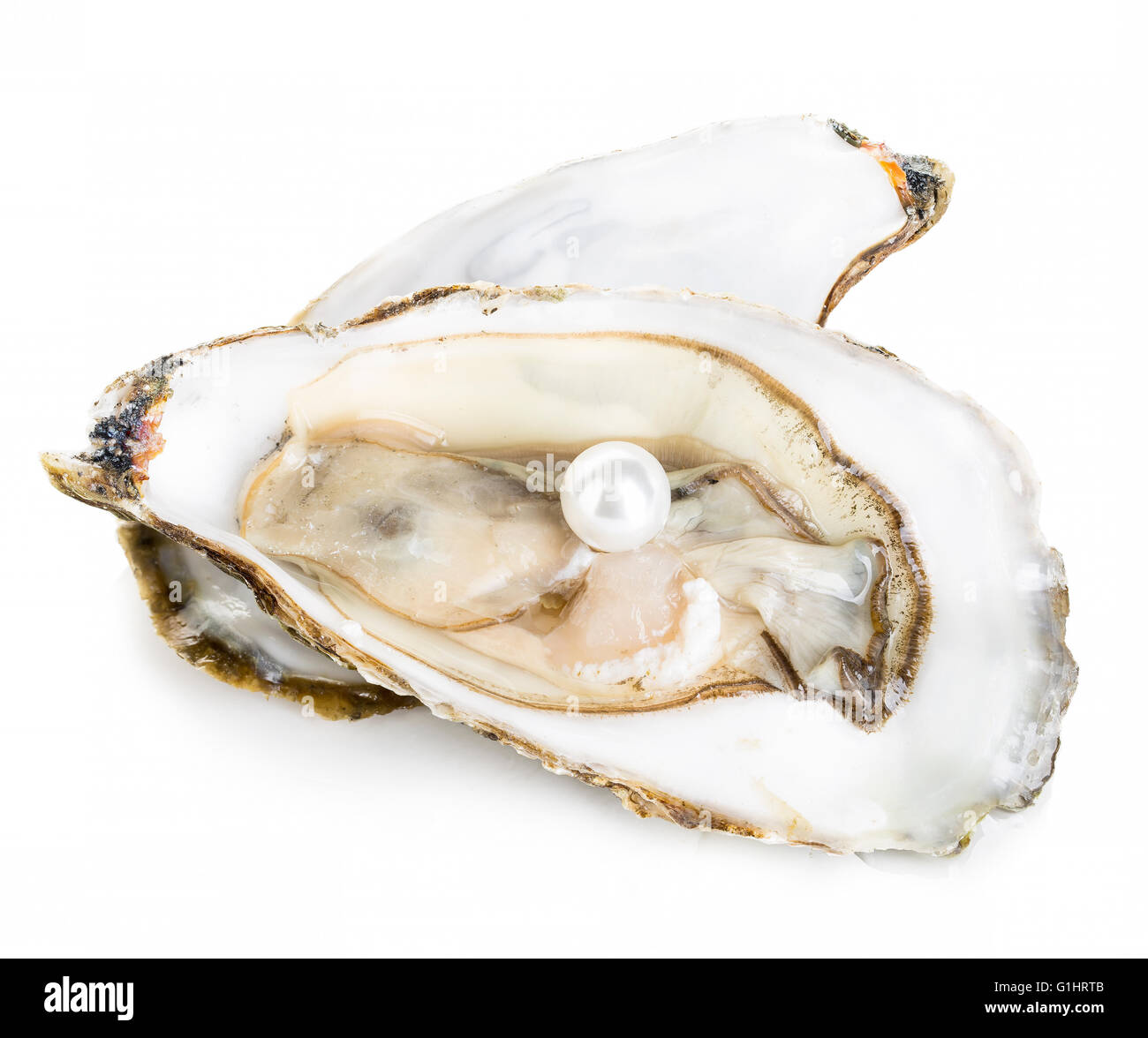 Oyster with pearl close-up isolated on a white background Stock Photo ...