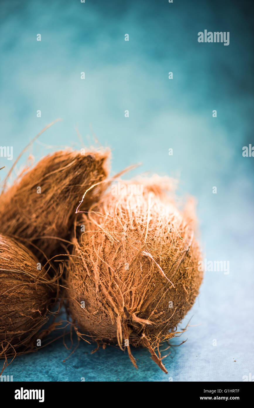 Coco nut palm hi-res stock photography and images - Alamy