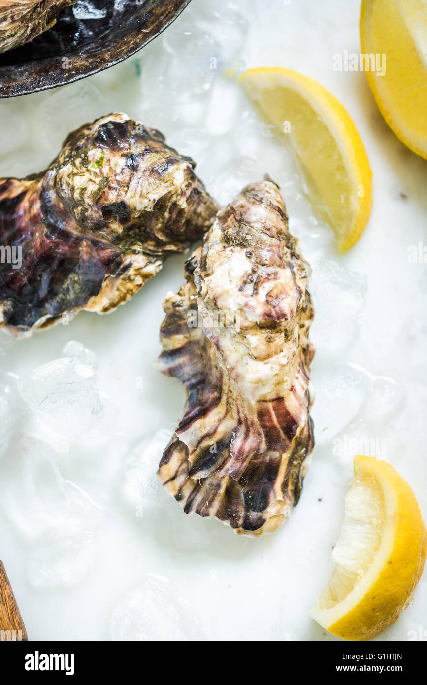 Oyster catch hi-res stock photography and images - Alamy