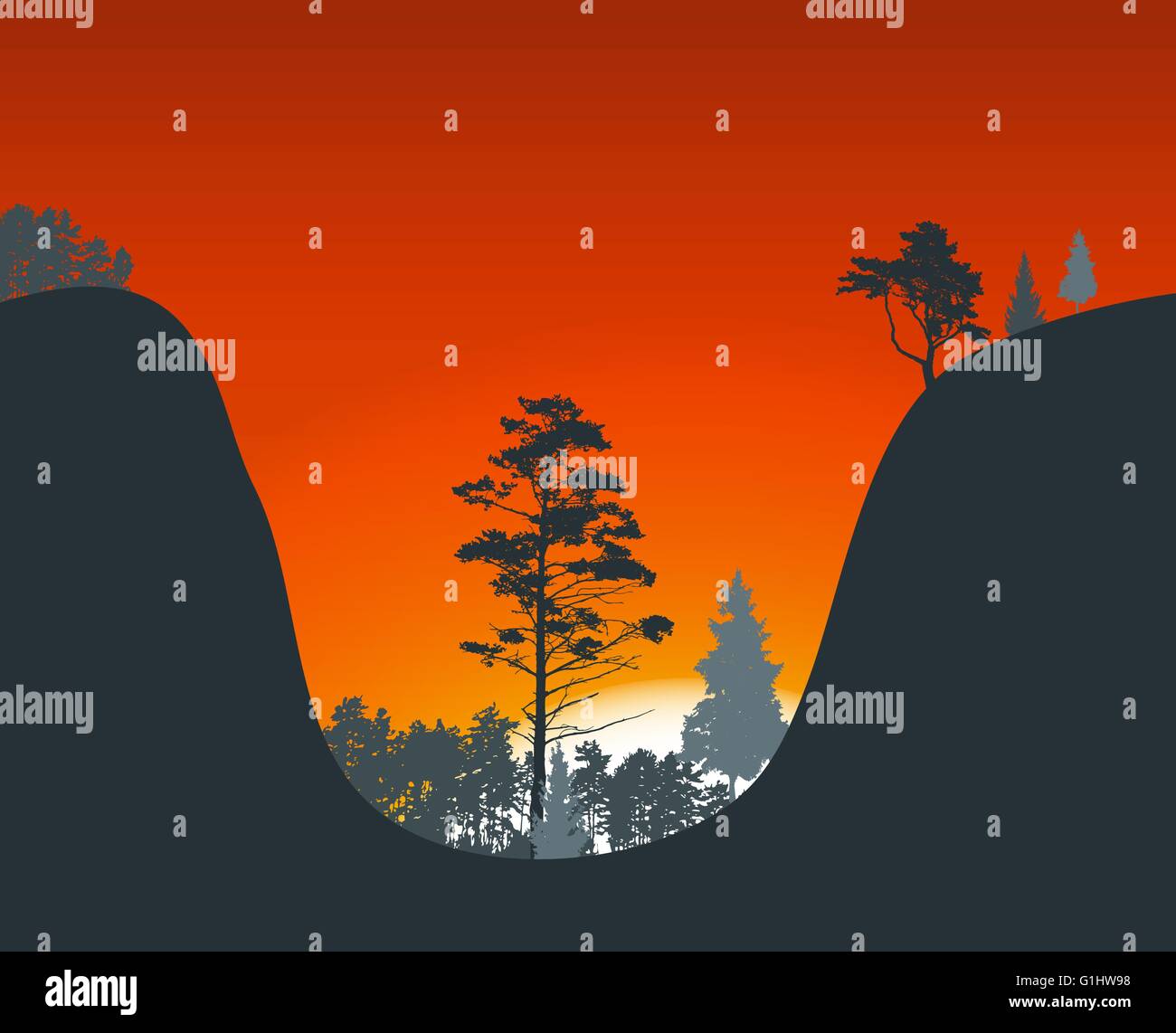 Grass back lit summer Stock Vector Images - Alamy