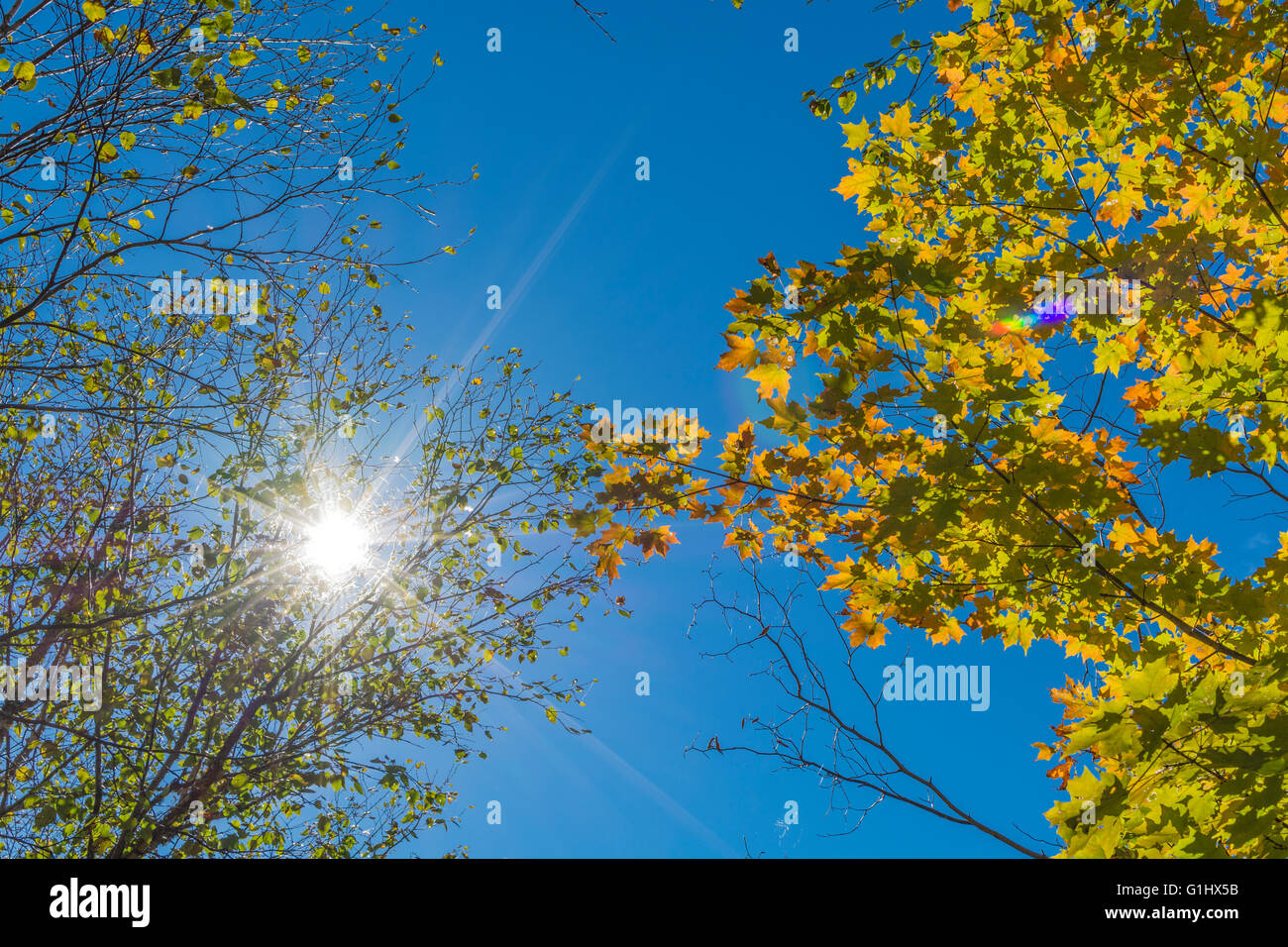 Fall blue hi-res stock photography and images - Alamy