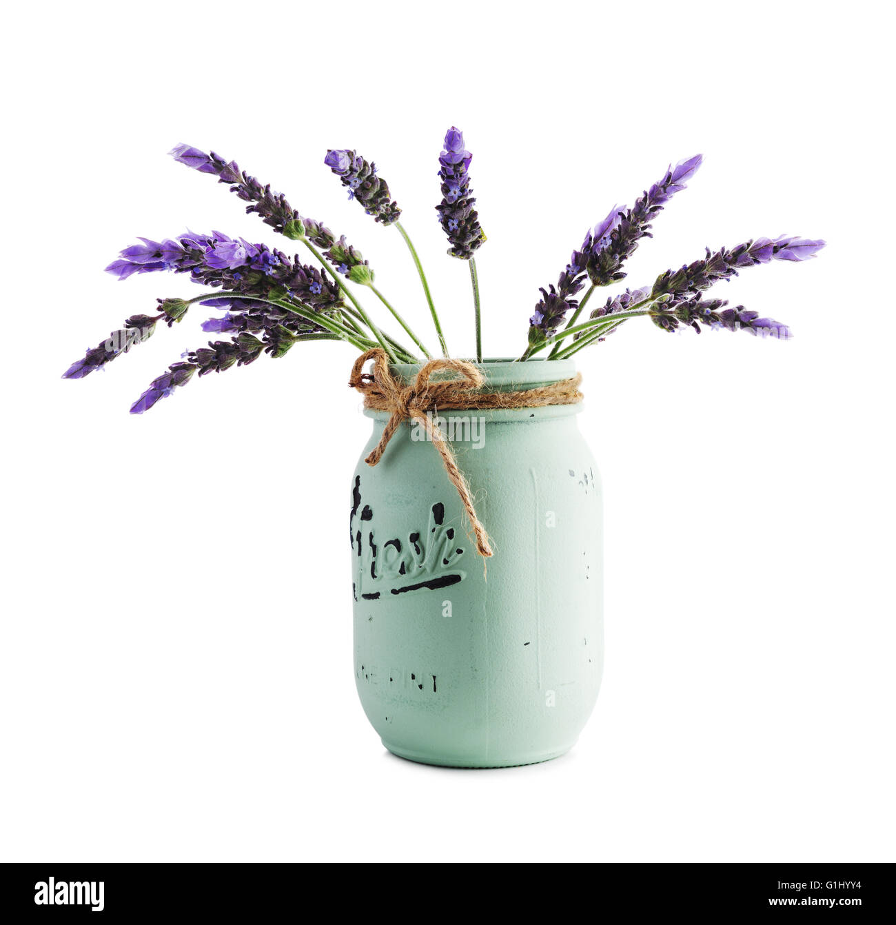 bundle of lavender flowers in retro vase isolated on white background ...