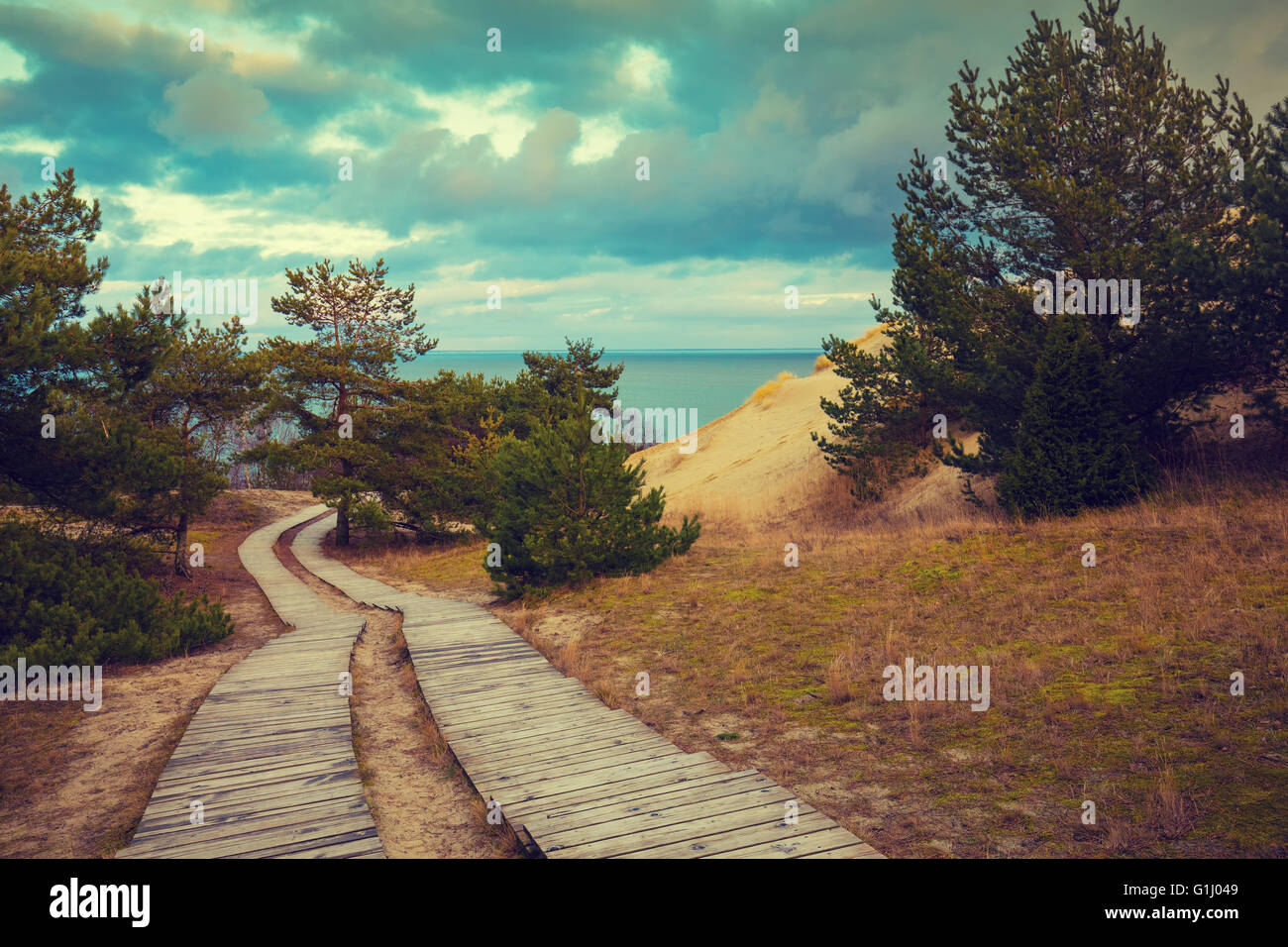 Two wooden pathways in park Stock Photo - Alamy