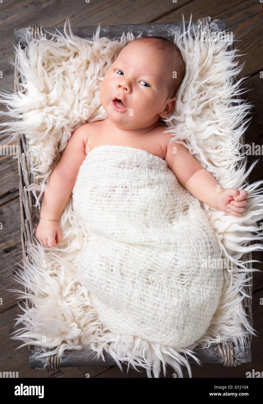 Inside small basket hi-res stock photography and images - Alamy