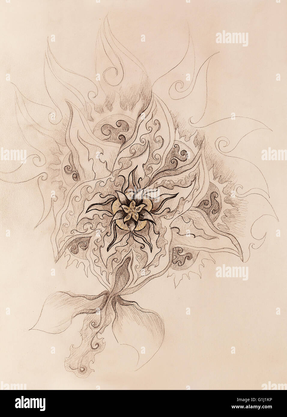 Color drawing of ornamental flower structure. Original hand drawn on ...