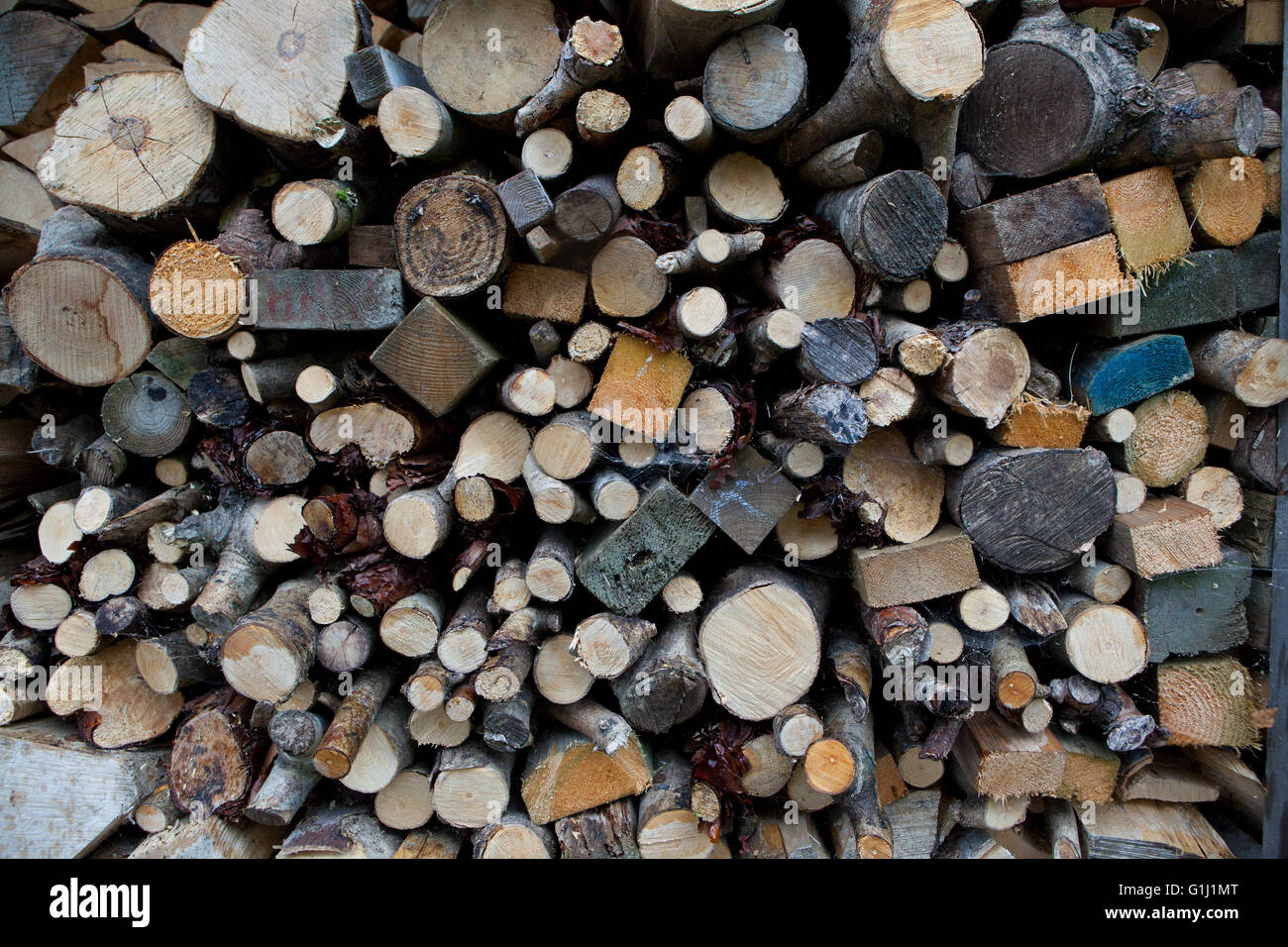 A Welsh householder's wood store. The timber is used as fuel for the ...