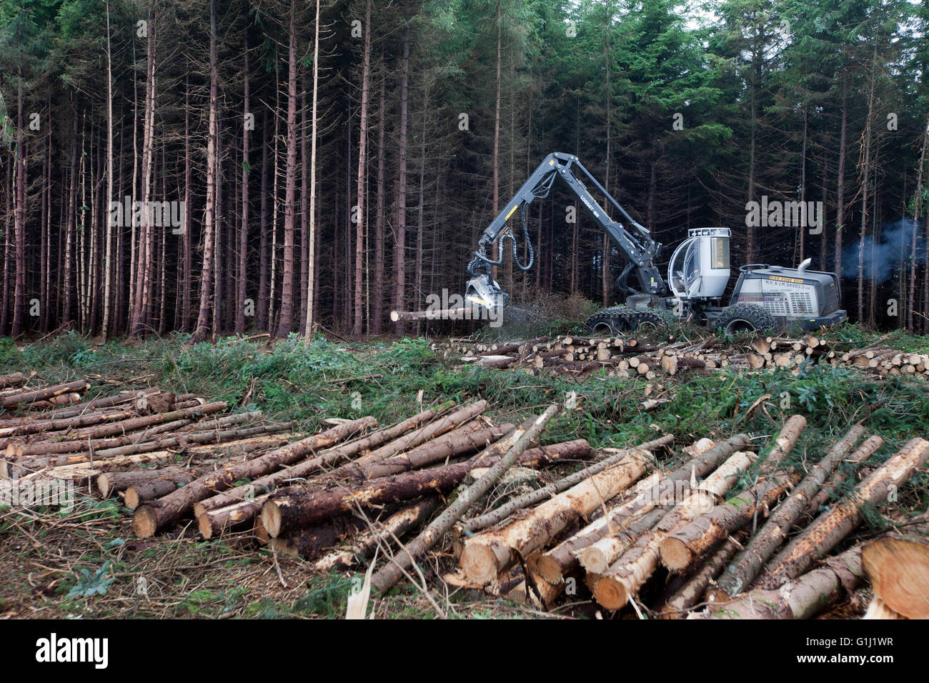 A Logset Harvester working on a clear-fell site on Forestry Commission ...