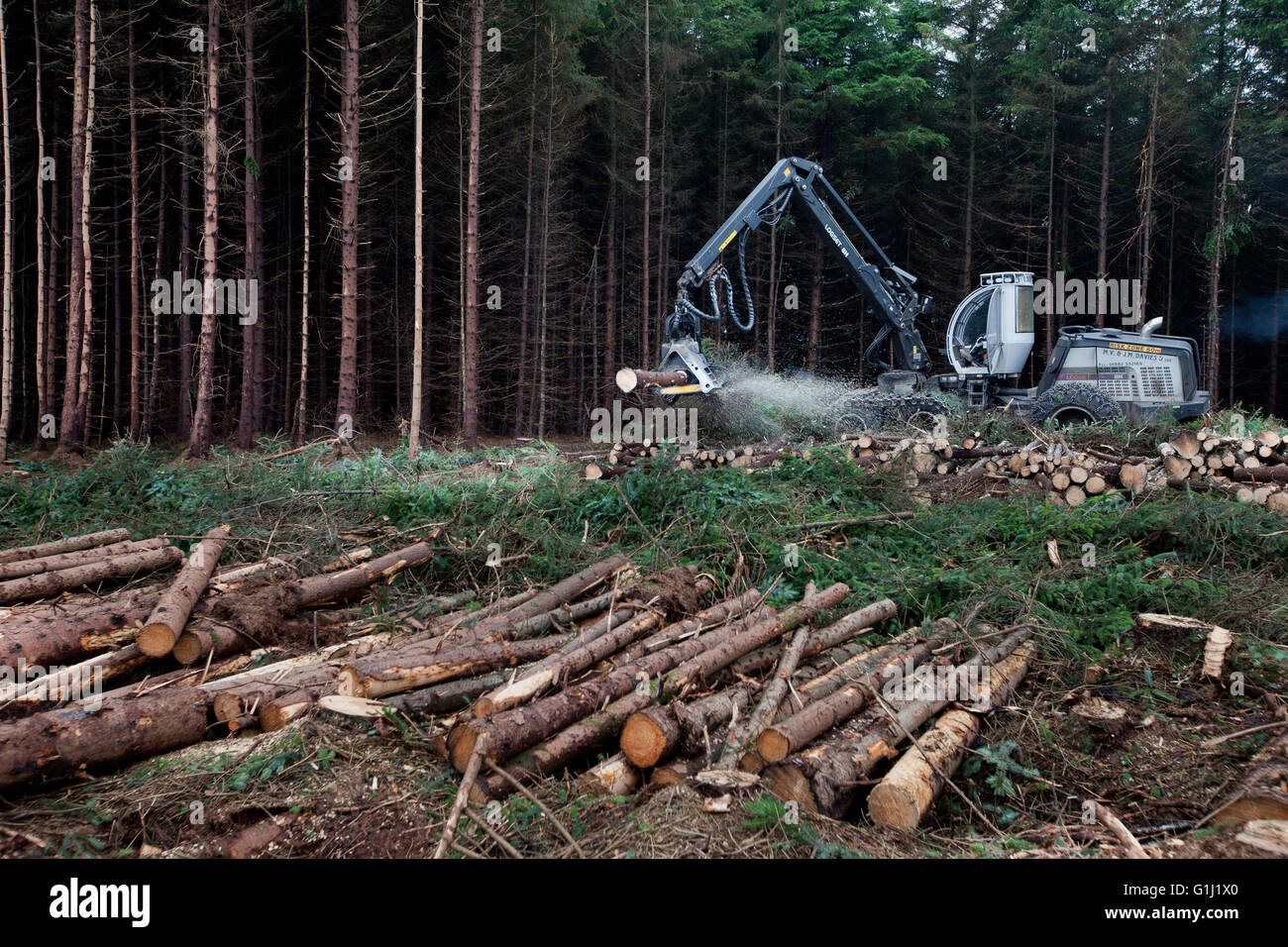 A Logset Harvester working on a clear-fell site on Forestry Commission ...