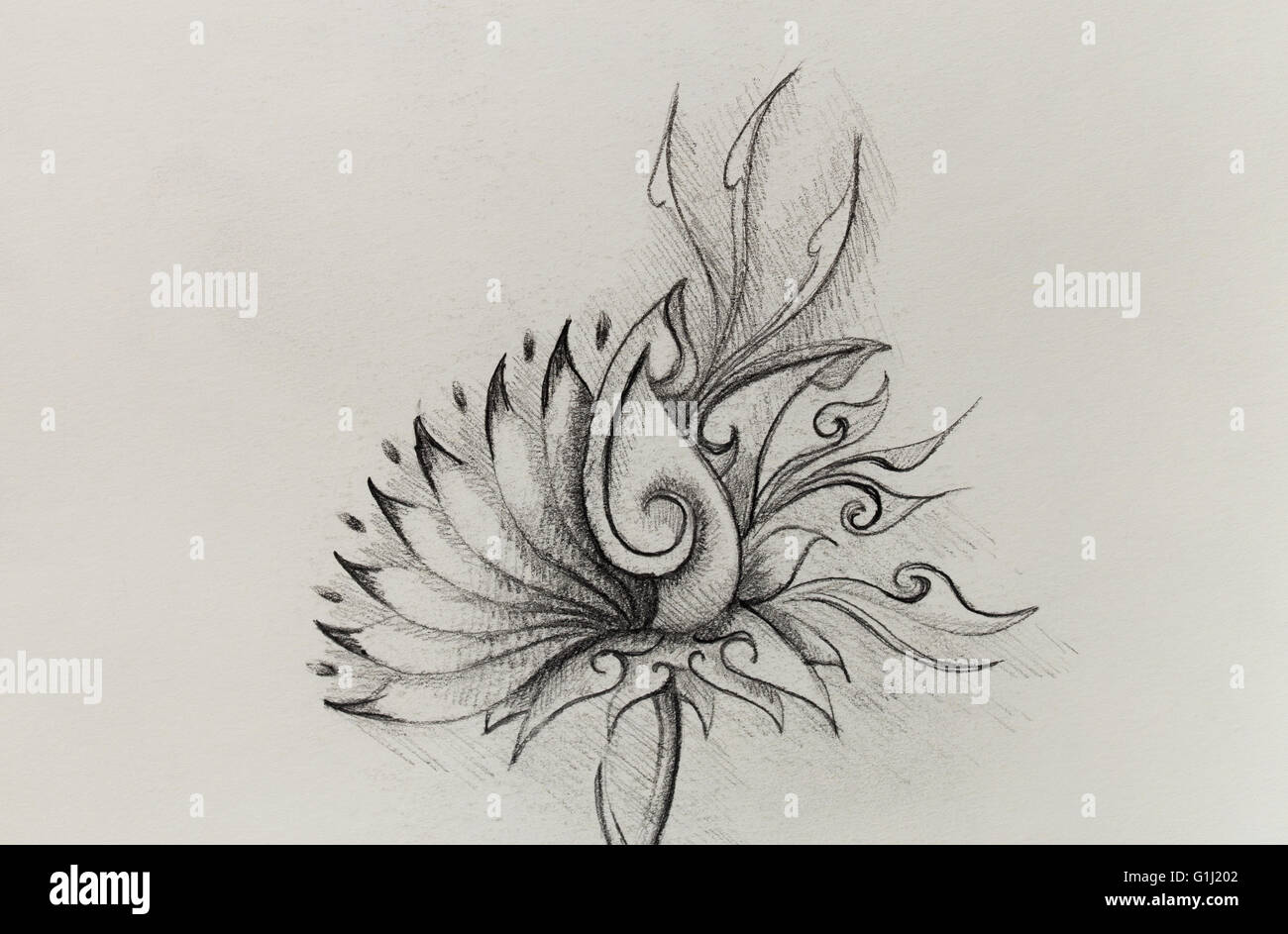 Color drawing of ornamental flower structure. Original hand drawn on ...