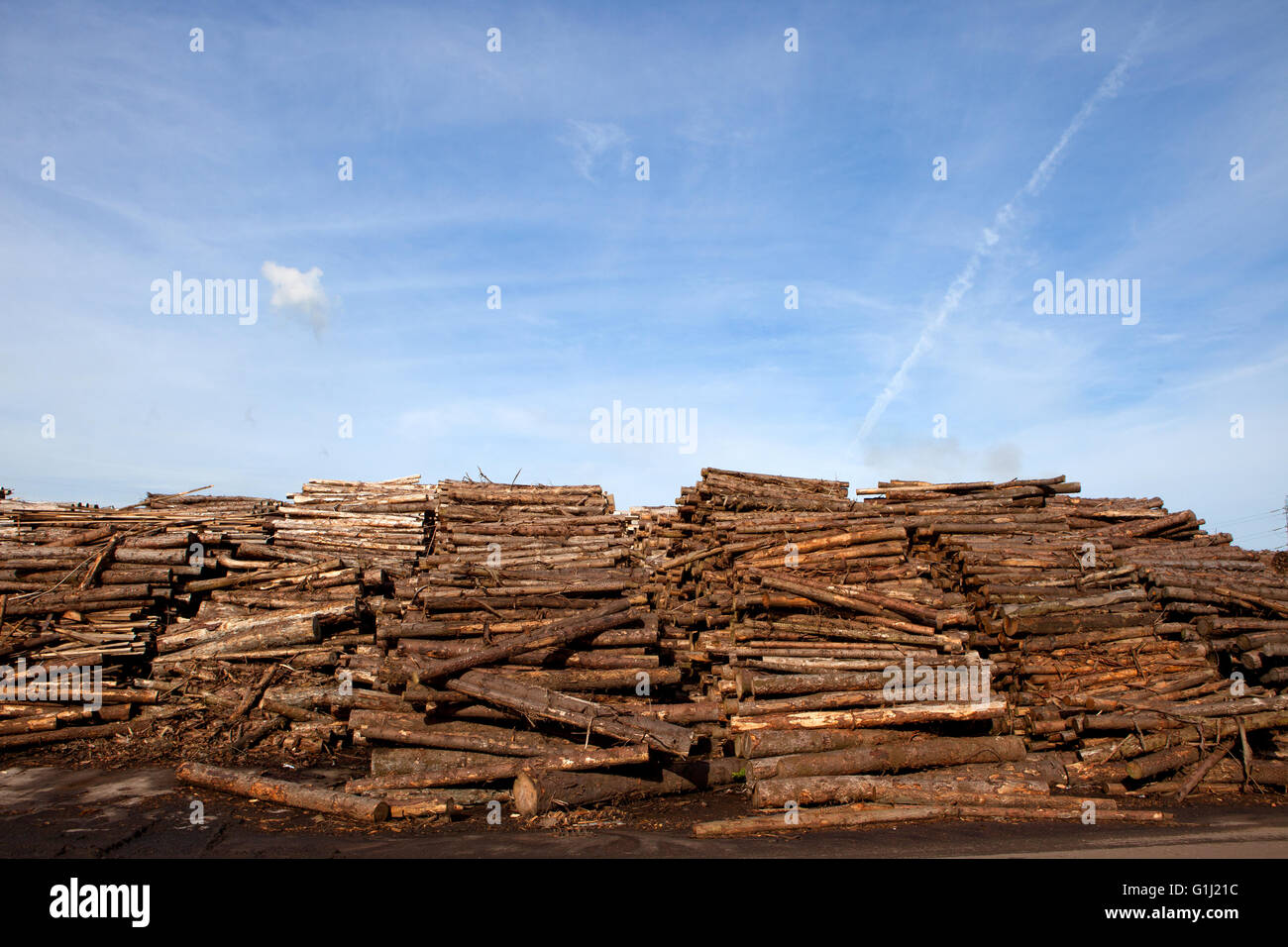 Timber stockpiled at The Western Wood Energy Plant at Port Talbot ...