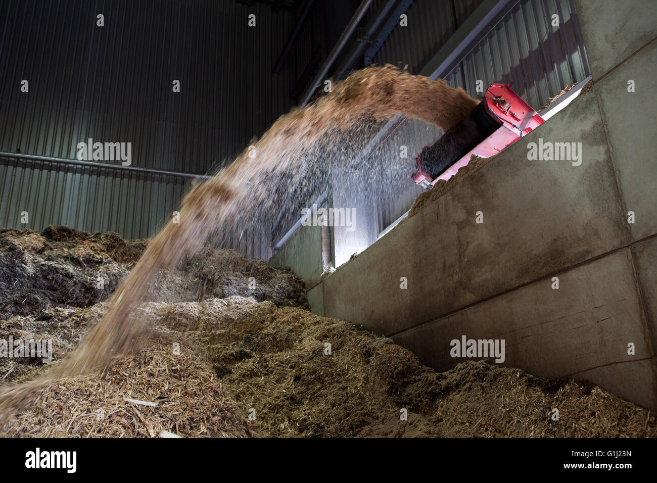 Wood chip from a Rotochopper wood chipping unit at the Western Wood ...