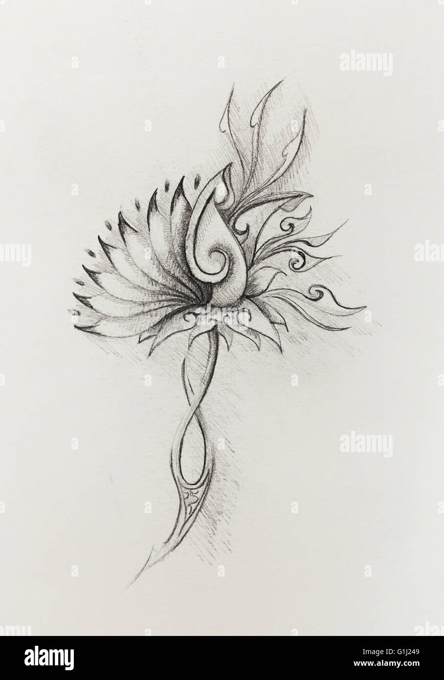 Color drawing of ornamental flower structure. Original hand drawn on ...