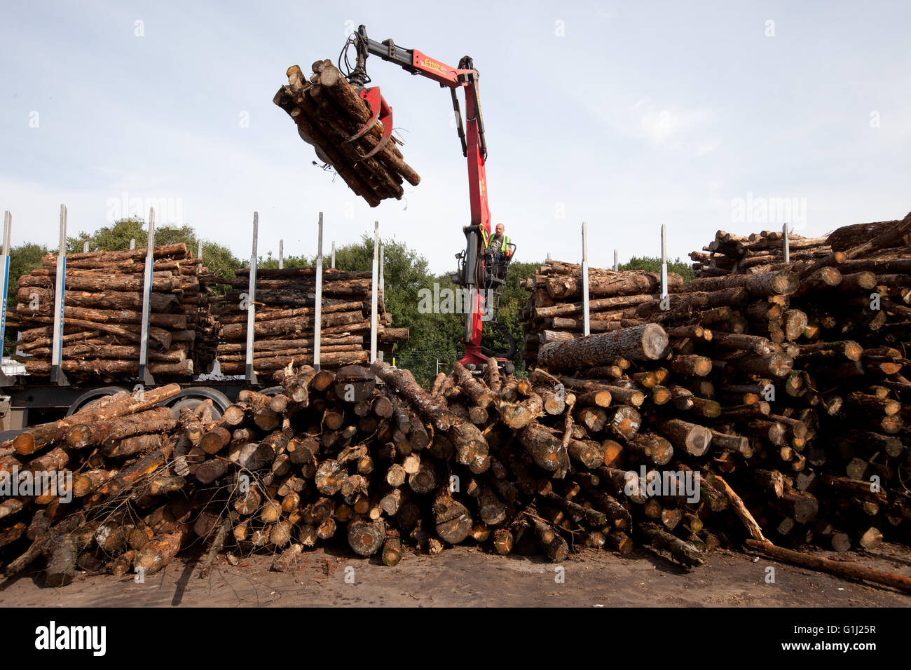 A truck delivers a supply of timber to the Western Wood Energy Plant at ...
